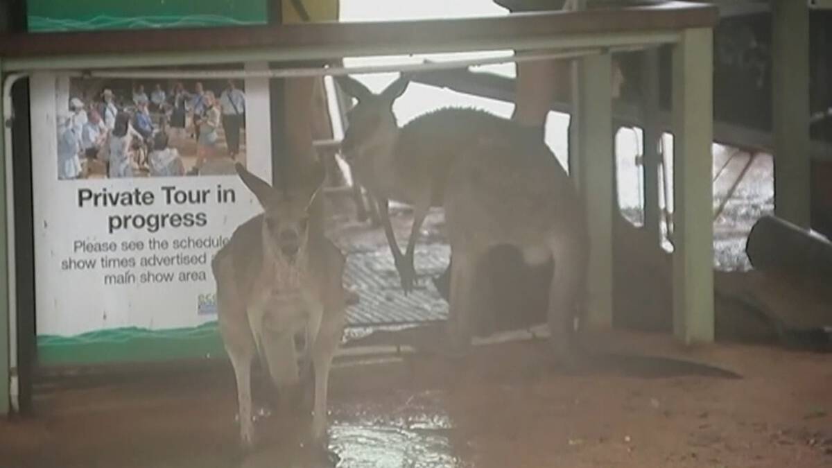 Natte poten door overstroming in dierentuin