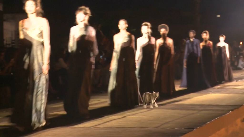 Kat loopt per ongeluk mee met een modeshow