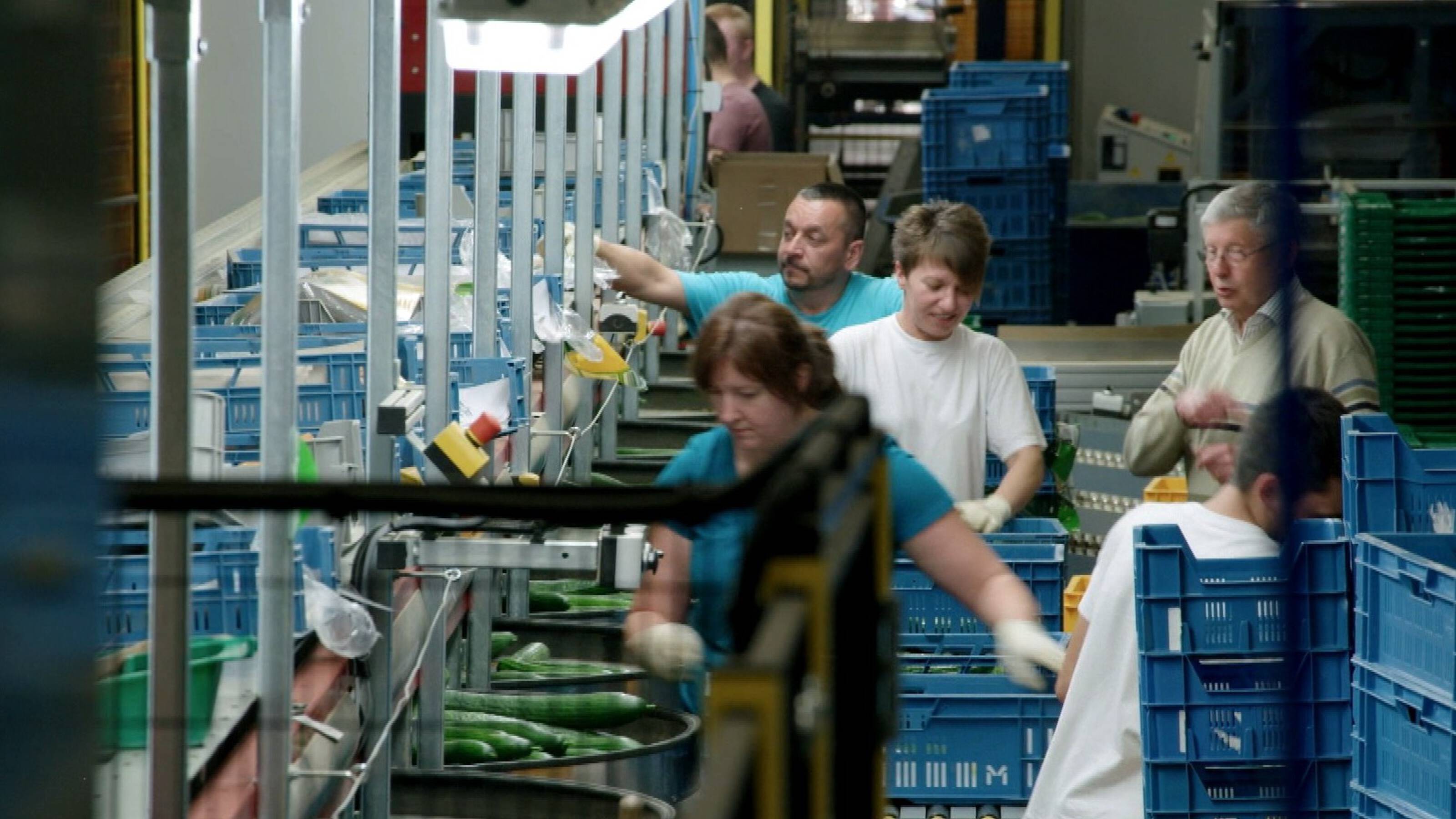 Arbeidsmigranten in Nederland: 'Niemand komt hier voor zijn plezier ...