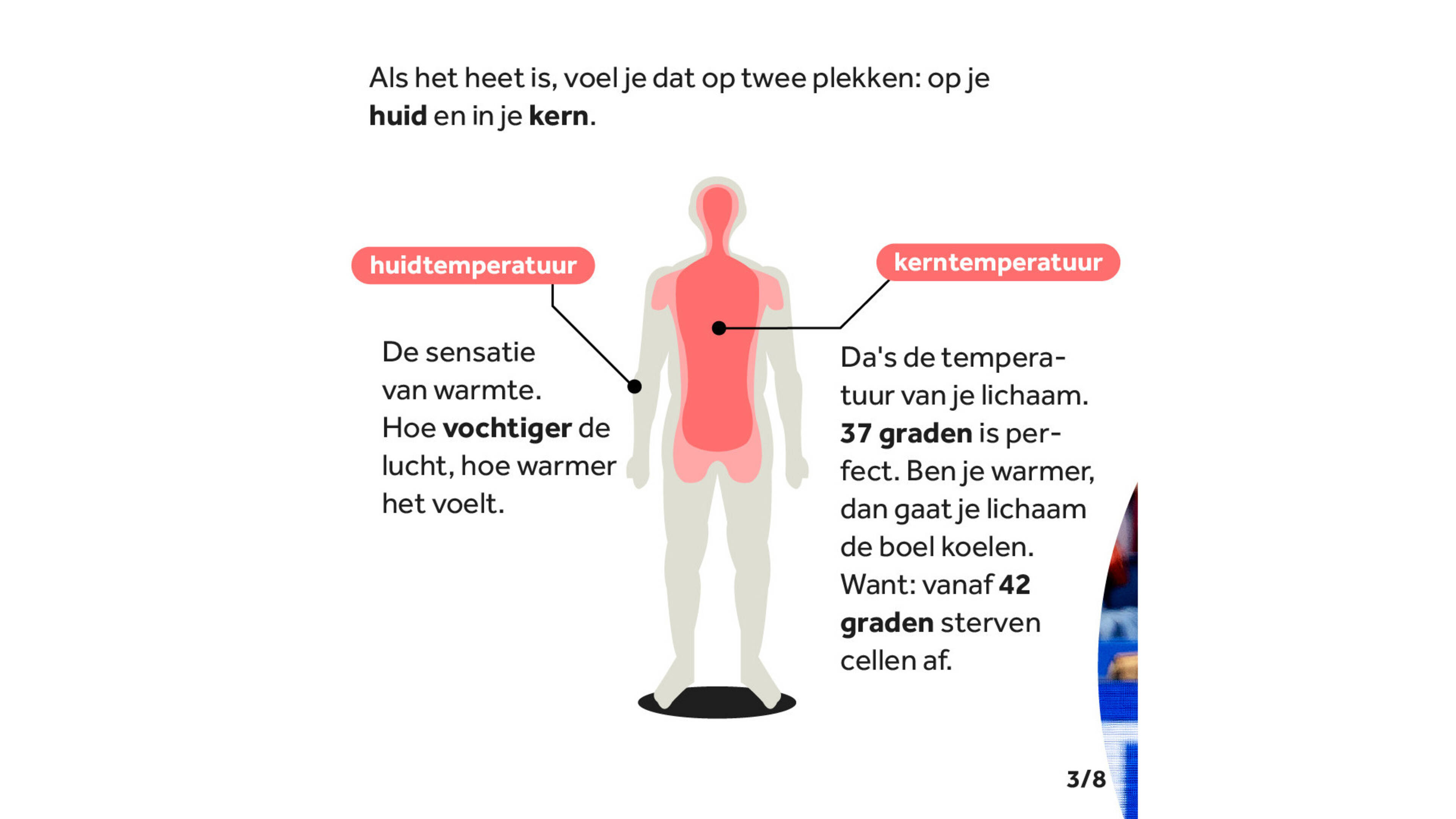 Wat doet die hitte met de Oranjevrouwen (en met ons)? | NOS
