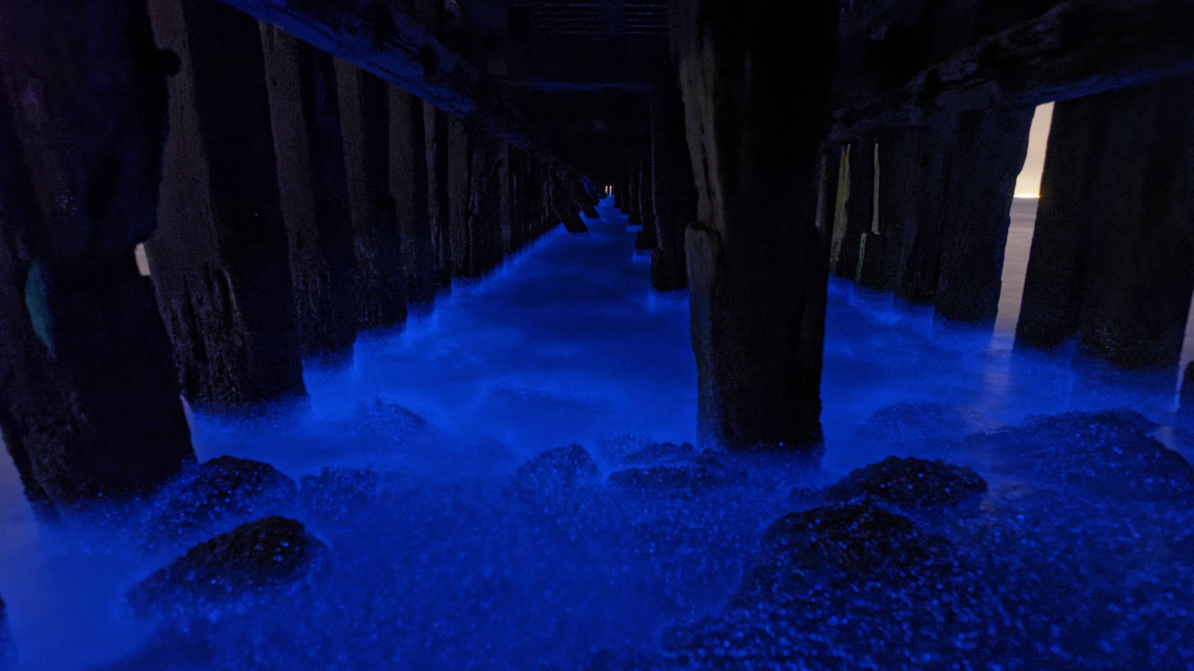 'Magische' zeevonk vannacht zichtbaar 'van Knokke tot Terschelling' | NOS