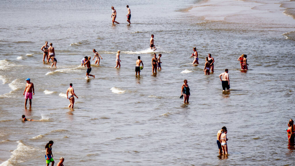 'Als mensen angstig worden in zee, gedragen ze zich als een landdier'
