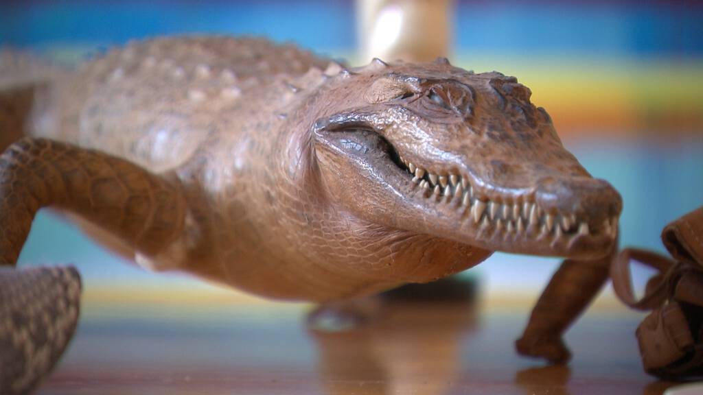 Cobrakoppen en slagtanden: veel spullen van beschermde dieren ingeleverd