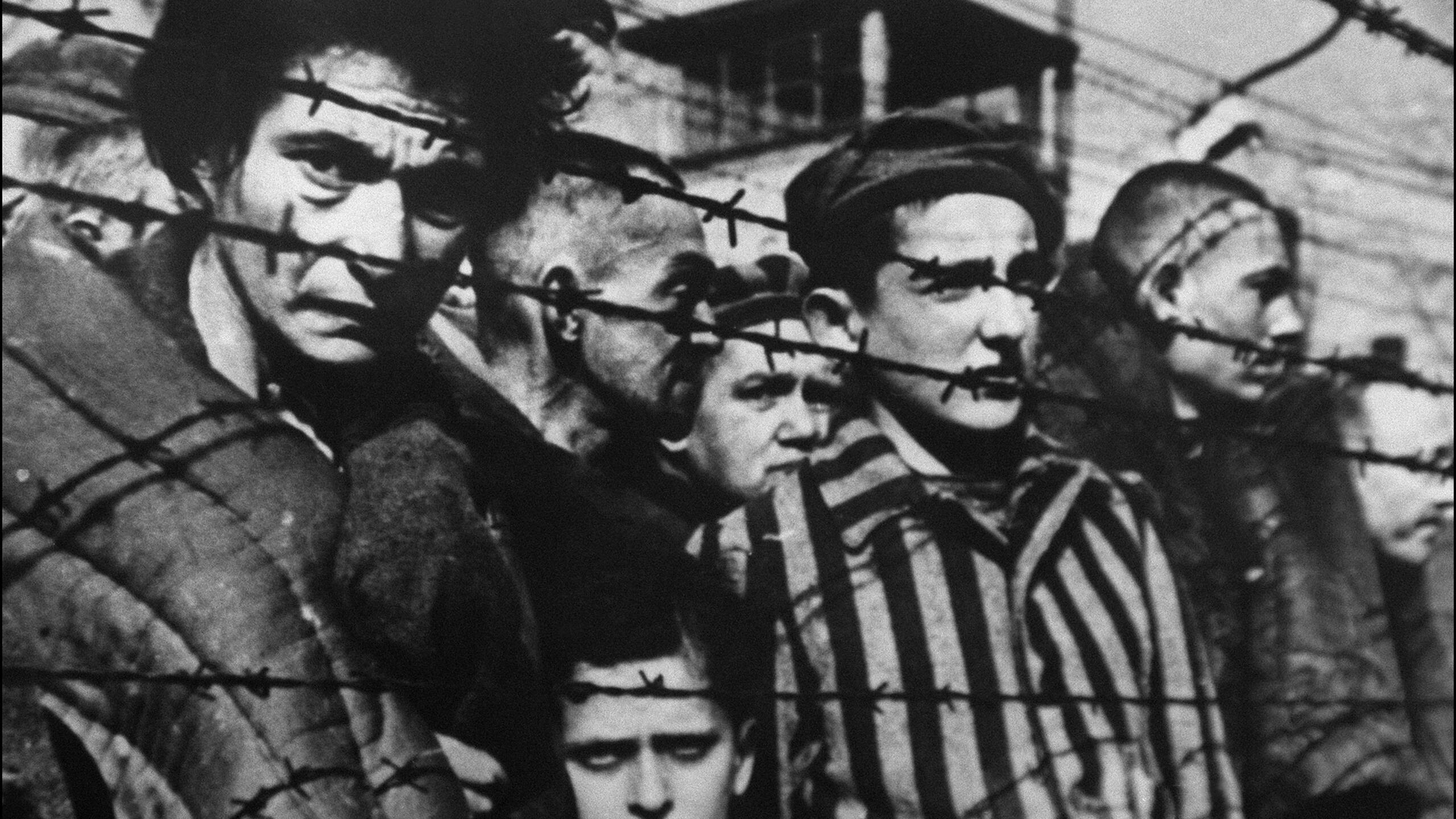 het bevrijdingsjaar | Overlevenden Auschwitz via Odessa naar Nederland ...