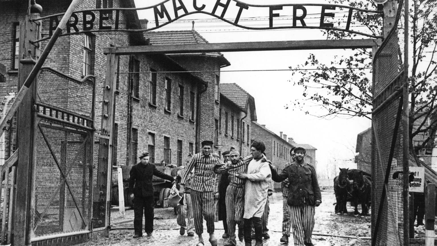 het bevrijdingsjaar | Duitse burgers gedwongen op bezoek in Buchenwald ...