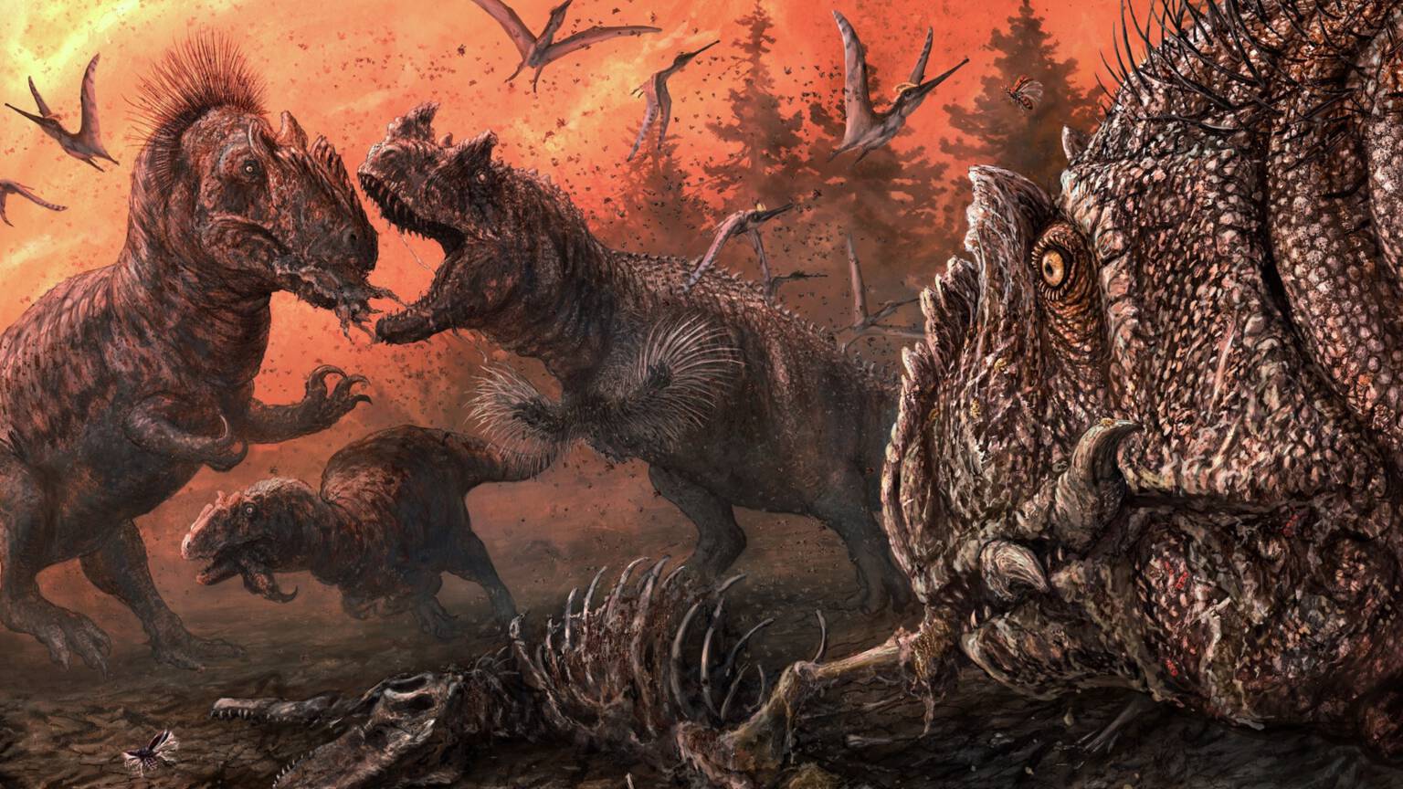 Paleontologen ontdekken botkanker bij dinosaurus | NOS