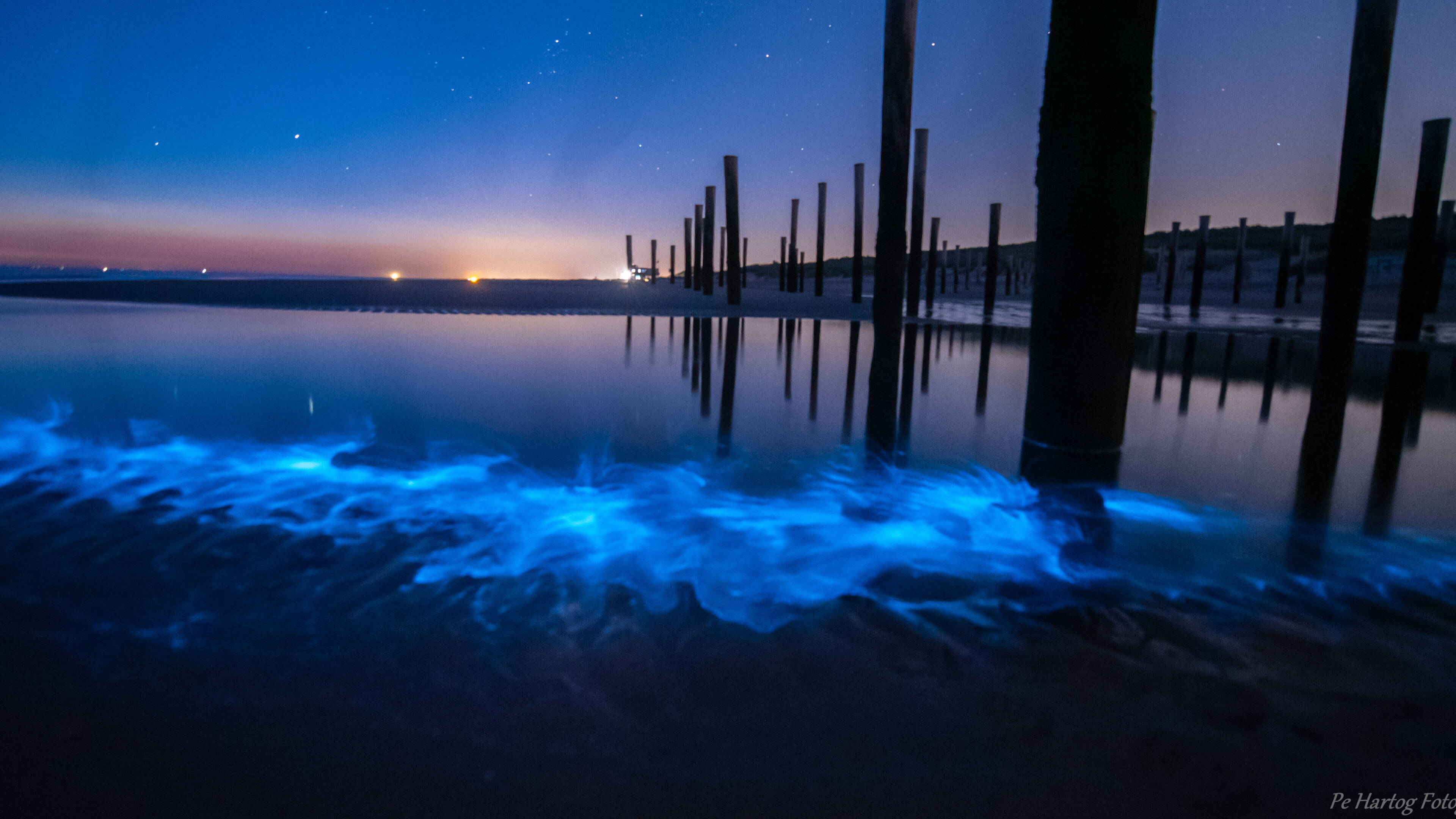 Zeldzaam natuurverschijnsel zeevonk wordt steeds minder zeldzaam | NOS