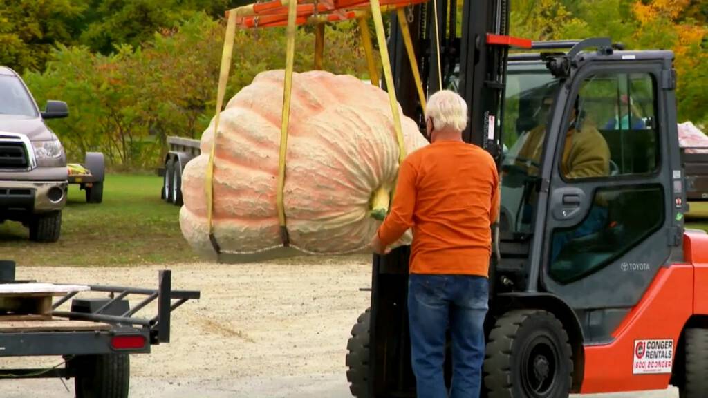 Wie heeft de grootste pompoen?