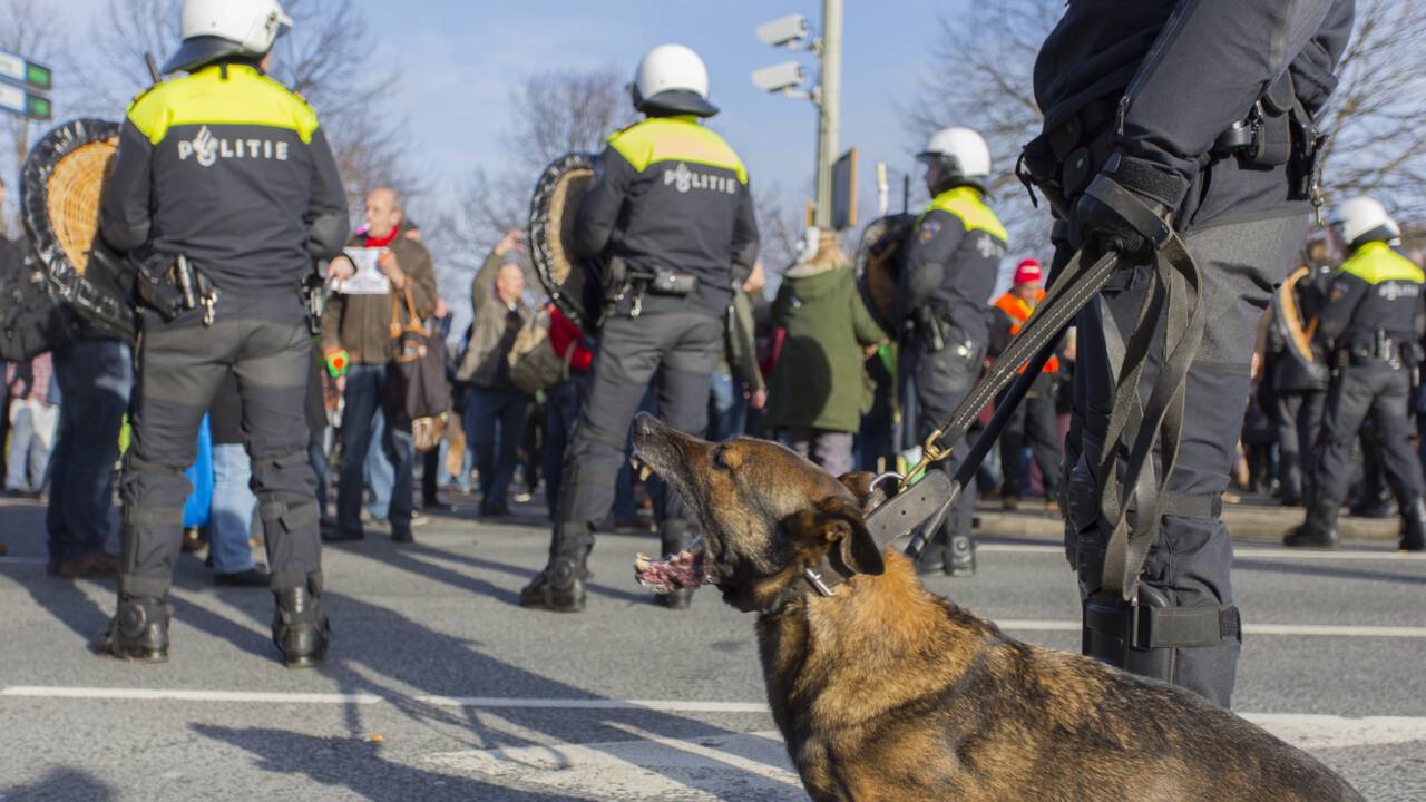 Grapperhaus: grensoverschrijdende trainingsvormen bij opleiding ...