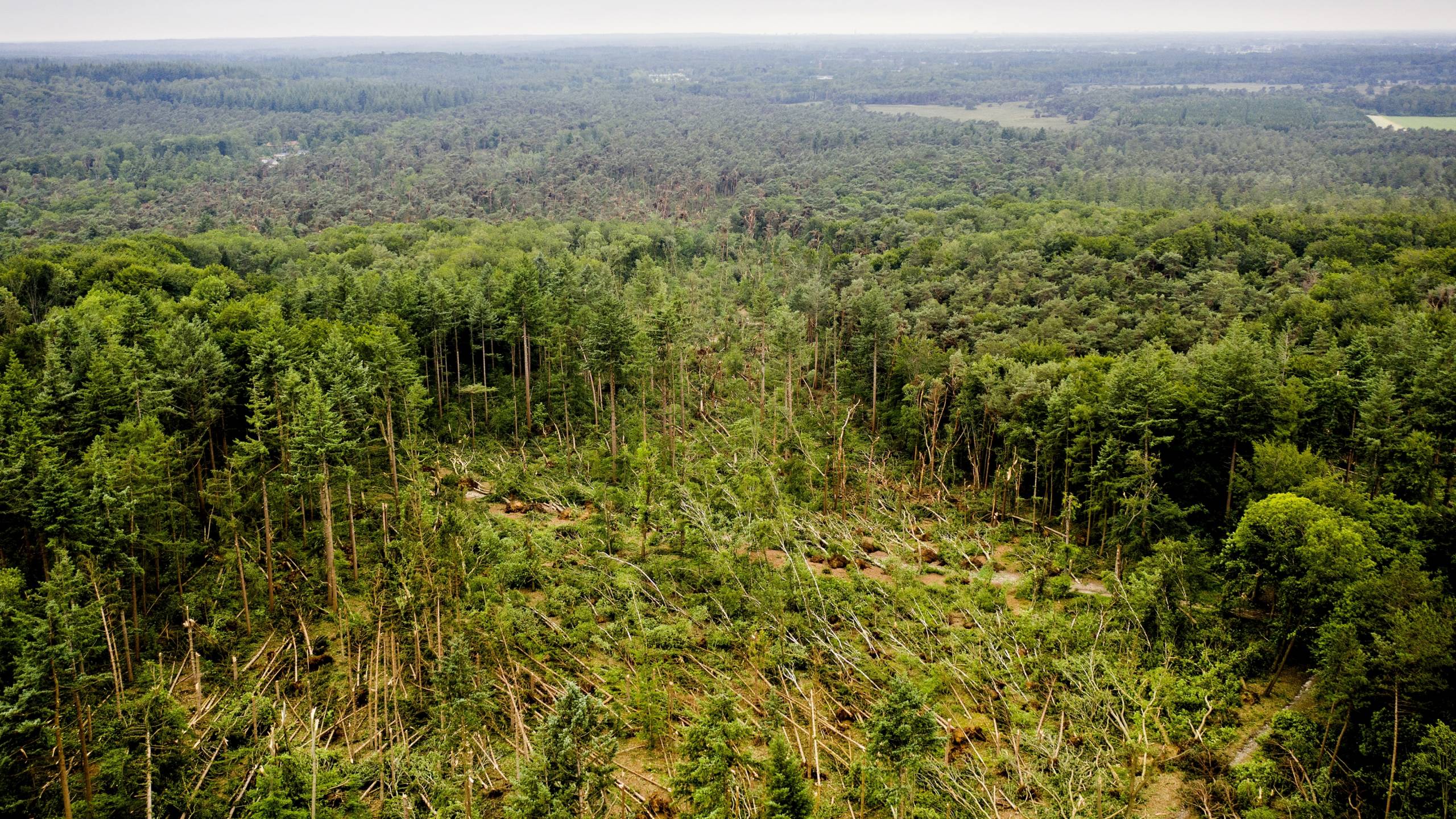 KNMI bevestigt: noodweer bij Leersum was valwind | NOS