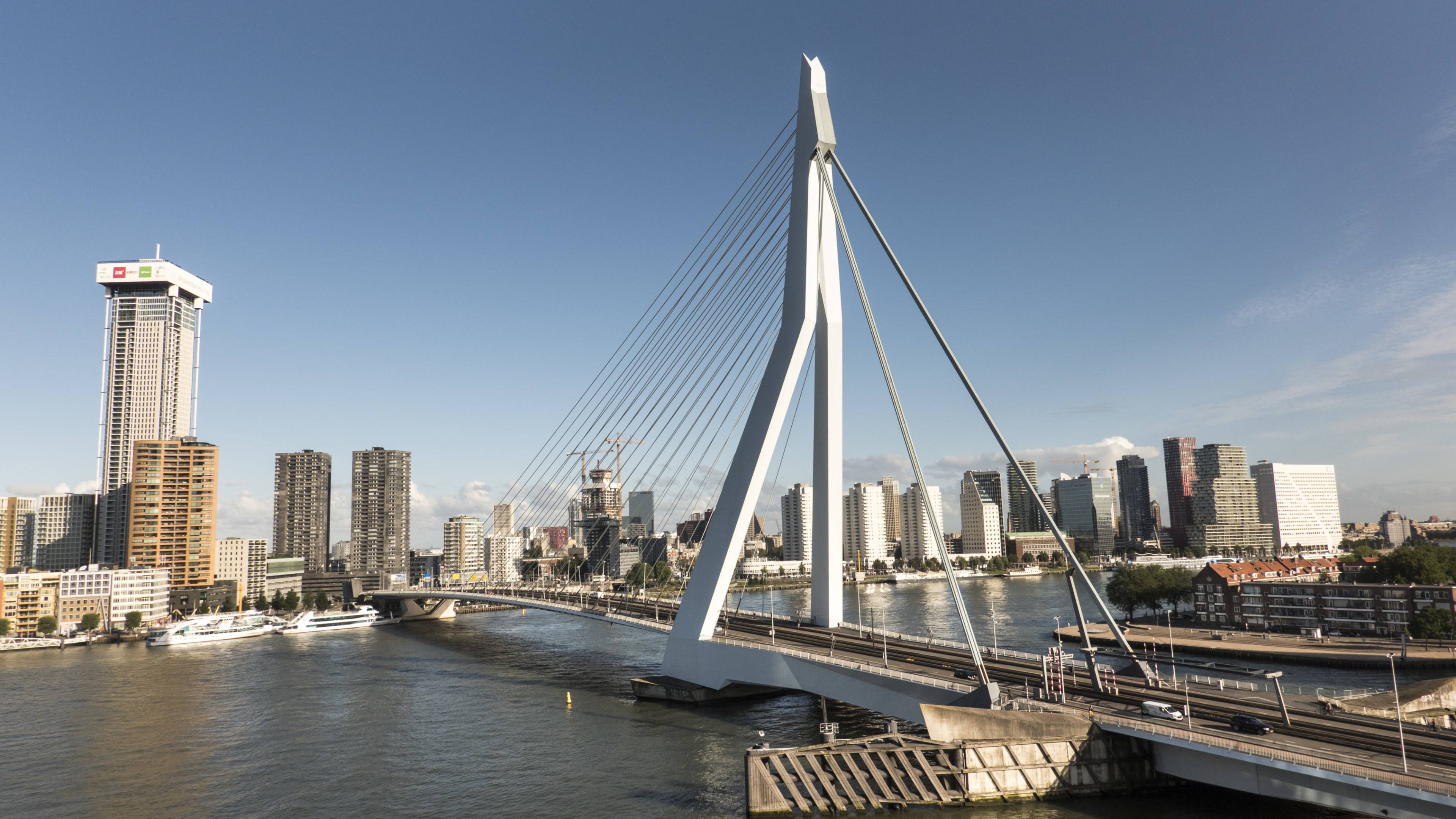 Stadsicoon Erasmusbrug is 25 jaar: 'Symbool voor de kracht van ...