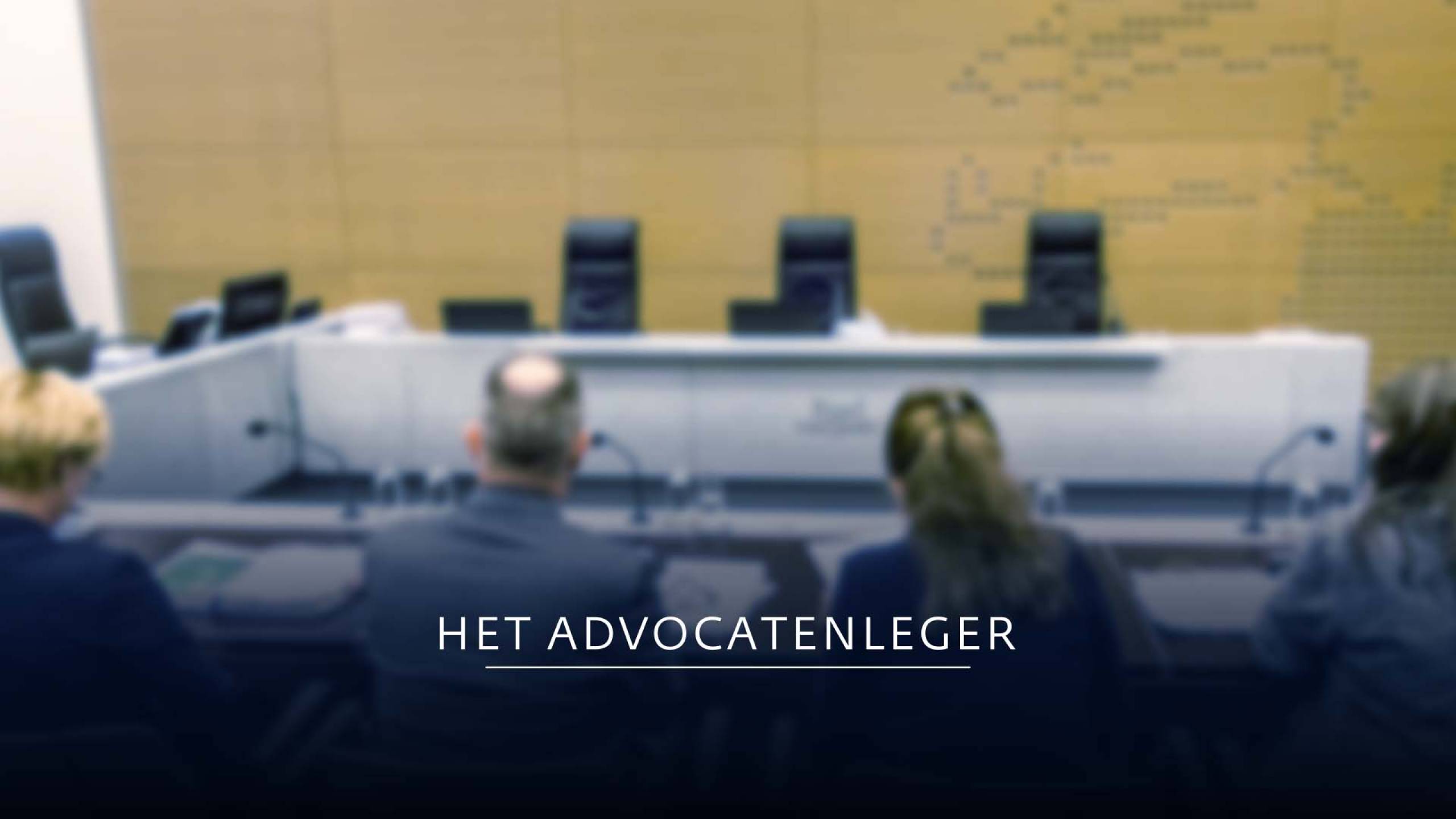 'De overheid huurt de duurste advocaten om te procederen tegen eigen ...