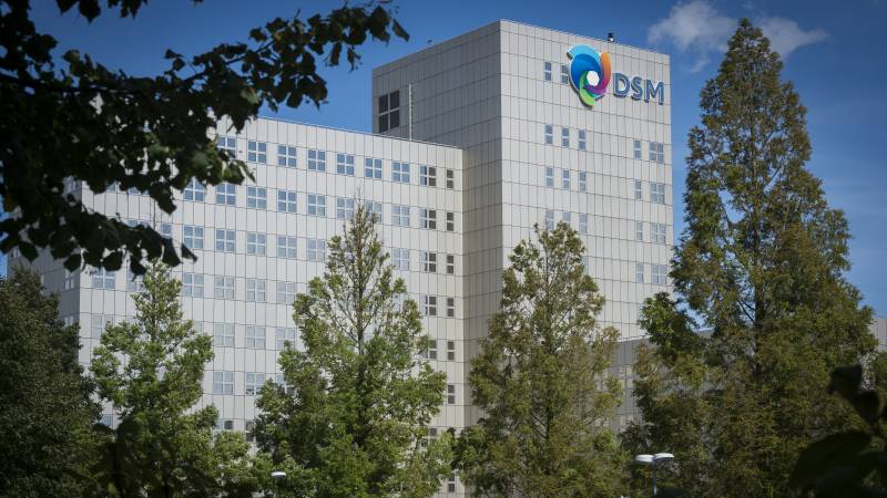 DSM merges with Swiss firm Firmenich - - The Nation View