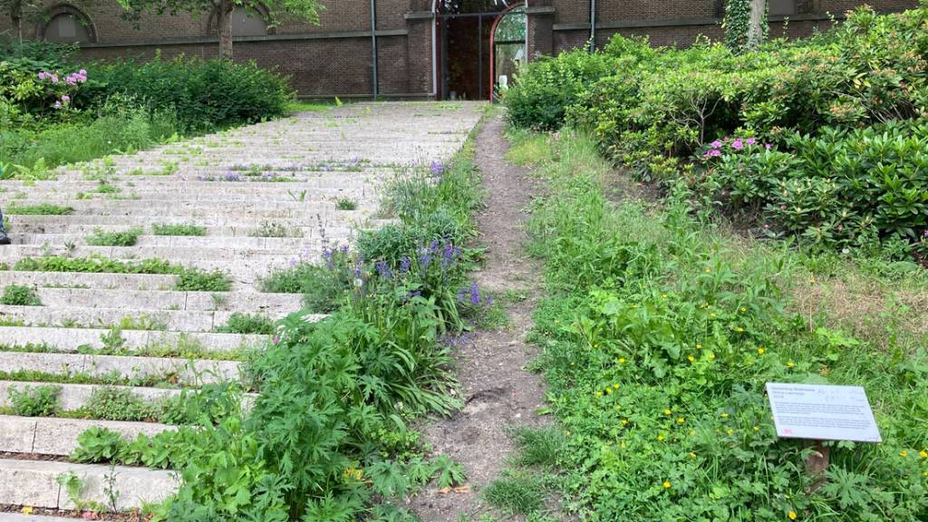 Met gasbrander vernielde ecologische trap langzaam weer groen