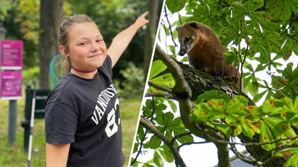 Nina-Marie (11) ontdekte een rode neusbeer in een boom