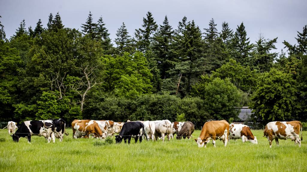 Ook met nieuw opgerichte Ecologische Autoriteit moet stikstofuitstoot ... Ook met nieuw opgerichte Ecologische Autoriteit moet stikstofuitstoot ...