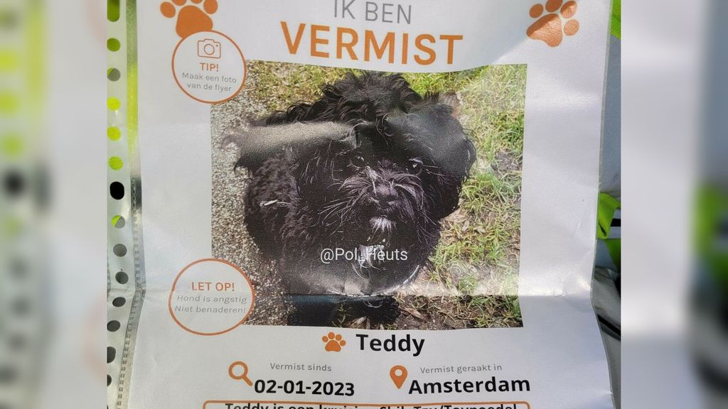 Politie sluit snelweg om vermiste hond te zoeken