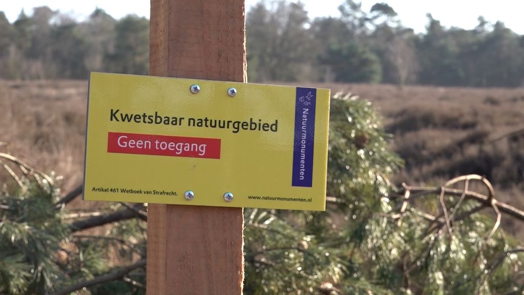 Wandelpaden op de Veluwe dicht om natuur te beschermen