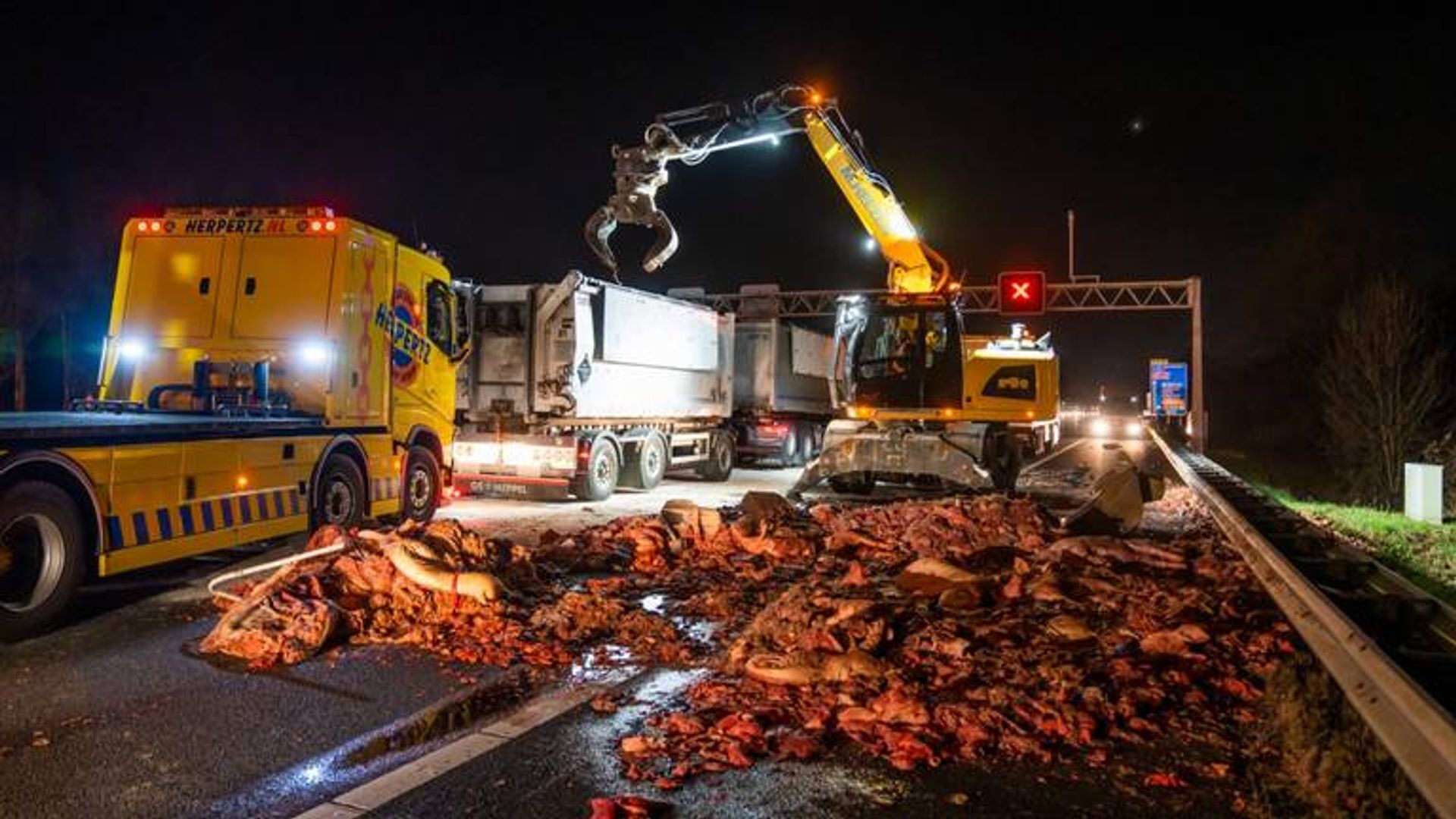 Slachtafval opruimen op de A67: 'Nooit zo veel darmen bij elkaar gezien ...