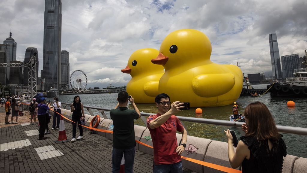 Nederlandse badeend die Hongkong verrukte keert na 10 jaar terug met ...