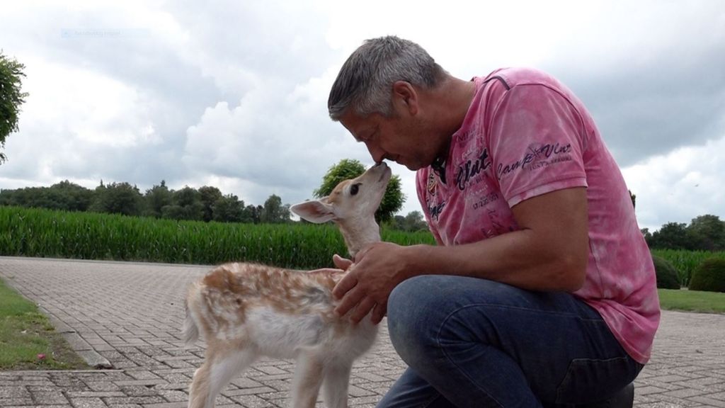 Het beste uit de 'Check Dit Dan'