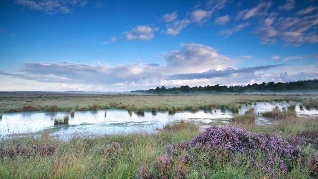 Weg in natuurgebied twee jaar dicht om dieren te beschermen