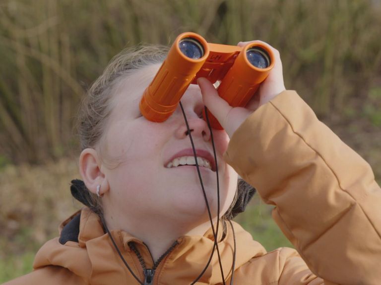 Je kan weer live meekijken in vogelnestjes