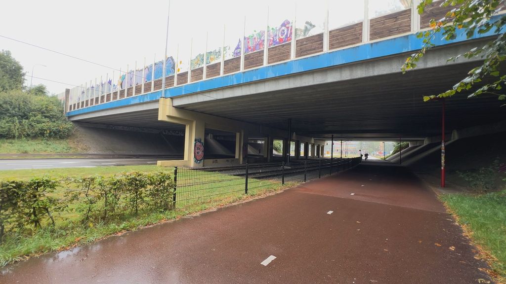 Belager Utrecht eerder veroordeeld voor zedenmisdrijf
