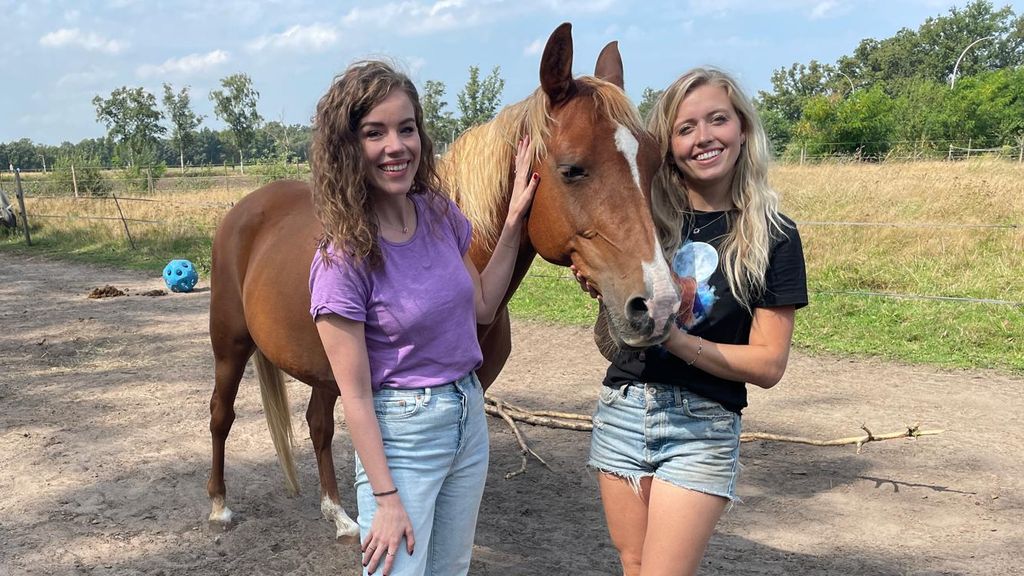Fenna over Hoefwijzer, praten over paarden en fans ontmoeten