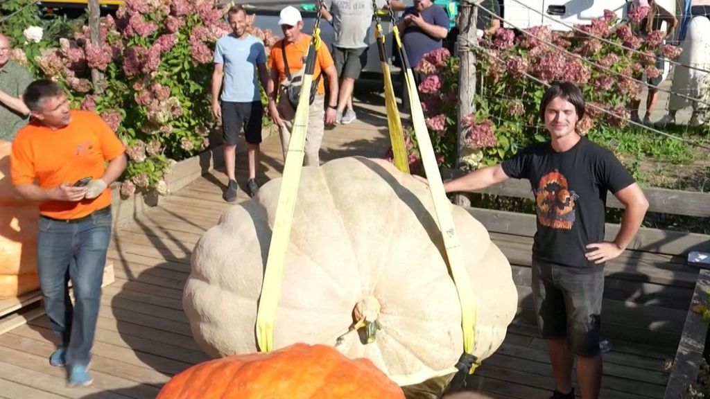 Dit is de grootste pompoen van Rusland