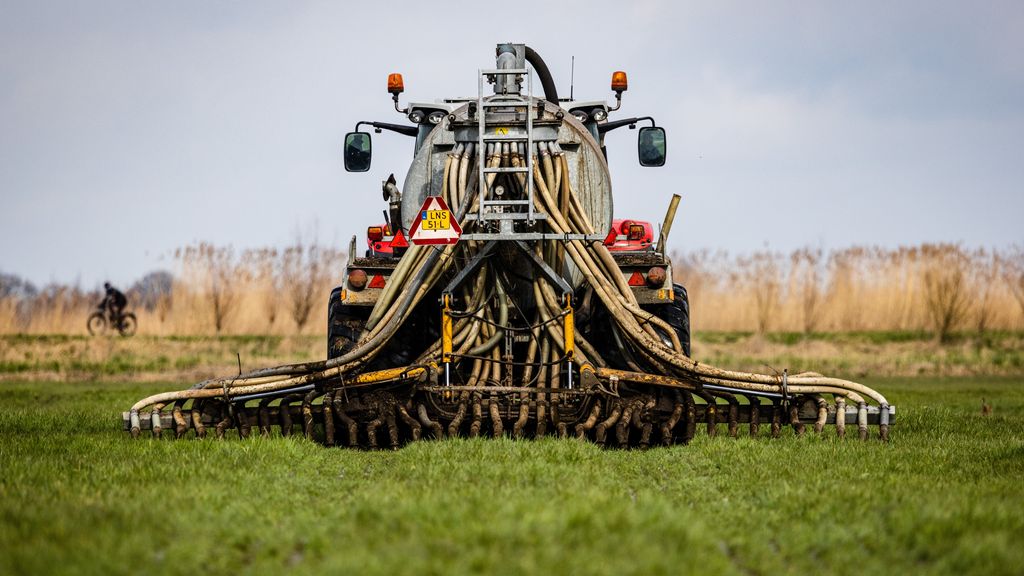 Experts vrezen dat stikstofbeleid nieuw kabinet leidt tot vertraging