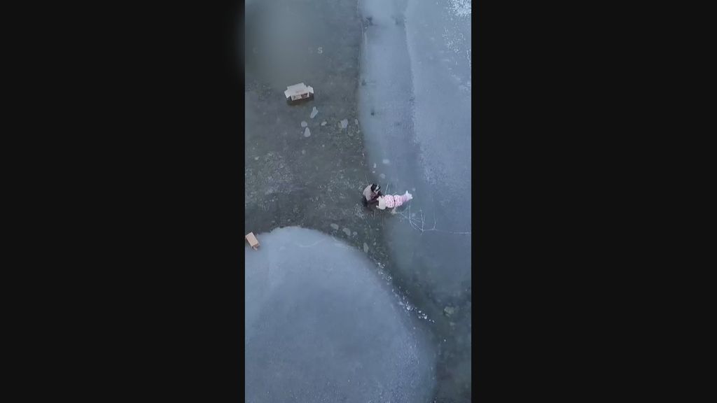 Vrouw redt hond uit het ijs