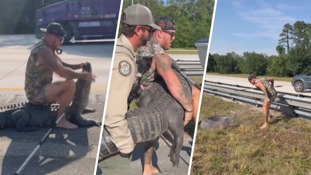 Man vangt alligator midden op snelweg: 'Dit had ik nooit verwacht'