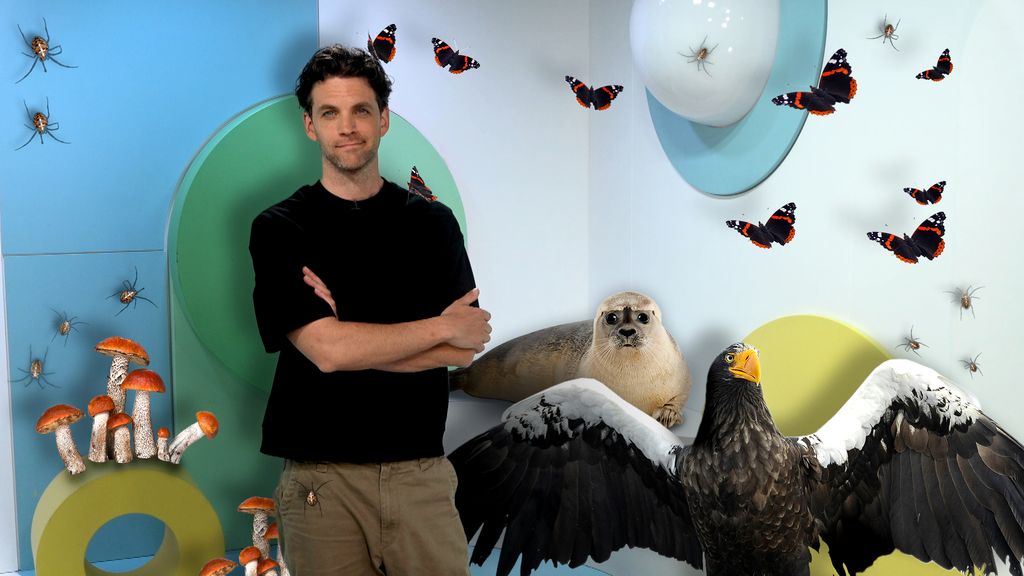 Ochtendjournaal van donderdag 22 mei