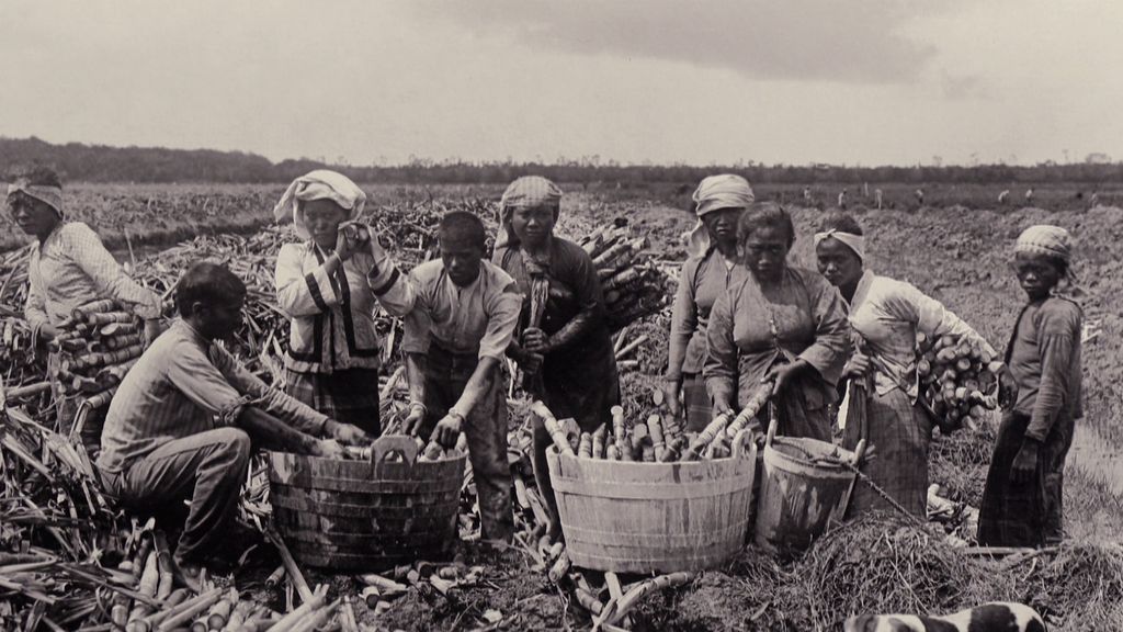 Augusta Curiel fotografeerde koloniaal Suriname, maar wel door ogen van kolonist