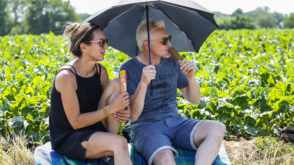 RIVM: vanaf zondag hitteplan voor Limburg en Noord-Brabant