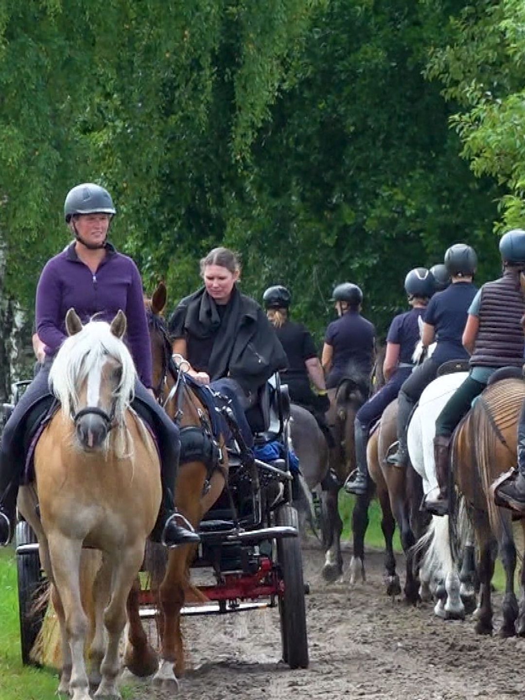 Vierdaagse voor viervoeters
