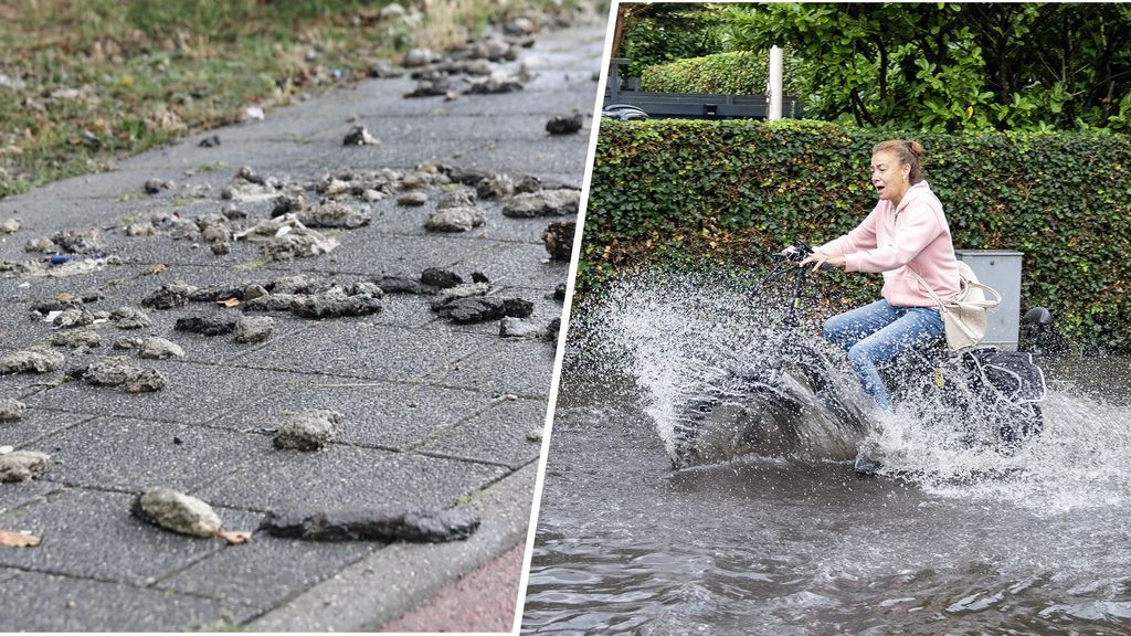Drollen op straat in Zandvoort door overstroomd riool