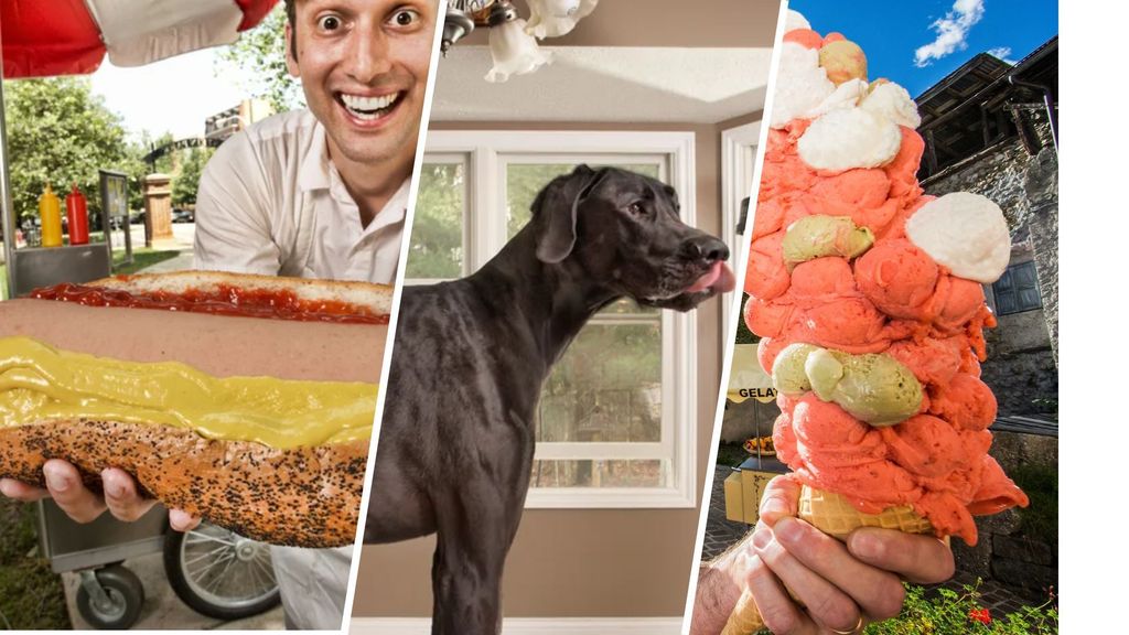 70 jaar wereldrecords: dit zijn de leukste