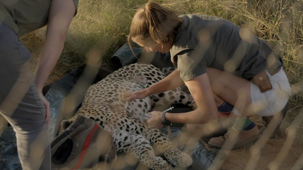 Stuur je vraag in voor 'dierendokter in het wild' Maaike!
