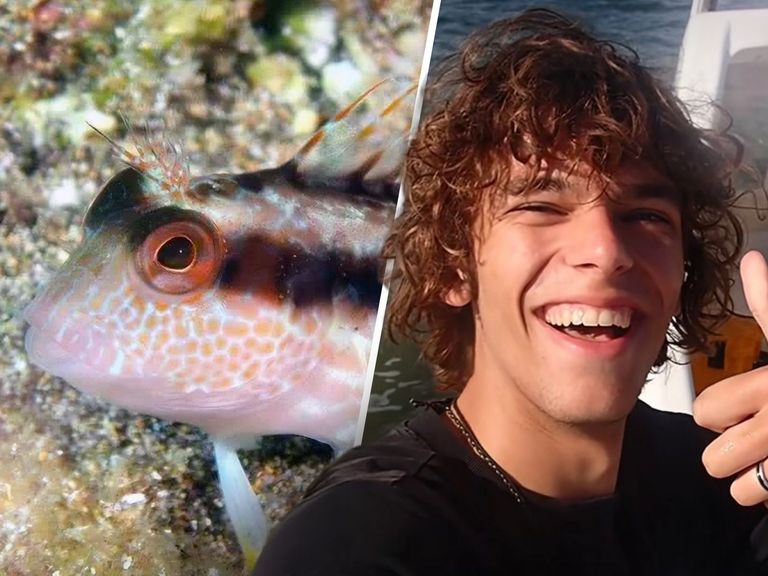 Ruben ontdekte nieuwe vis in Nederland: 'Ik heb een gat in de lucht ...