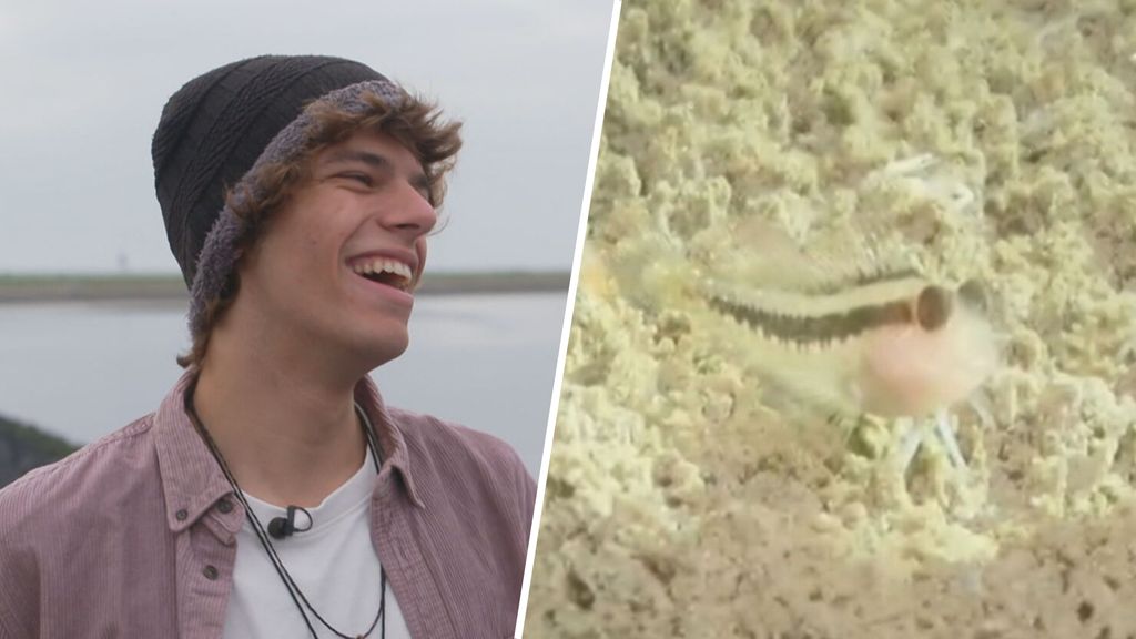 Ruben ontdekte nieuwe vis in Nederland: 'Ik heb een gat in de lucht ...