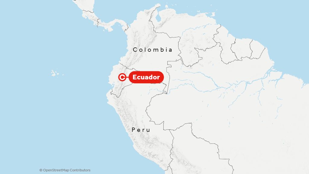 Ecuadoraanse drugsbaas die eigen dood in scène zette opgepakt in Spanje