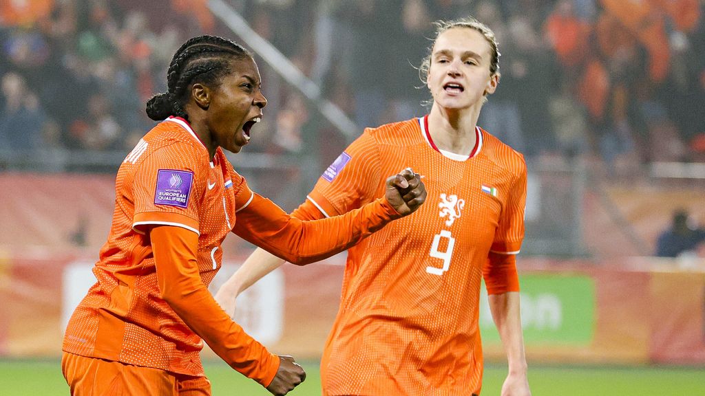 Oranje wint door late treffer Beerensteyn van Ierland in WK-kwalificatie